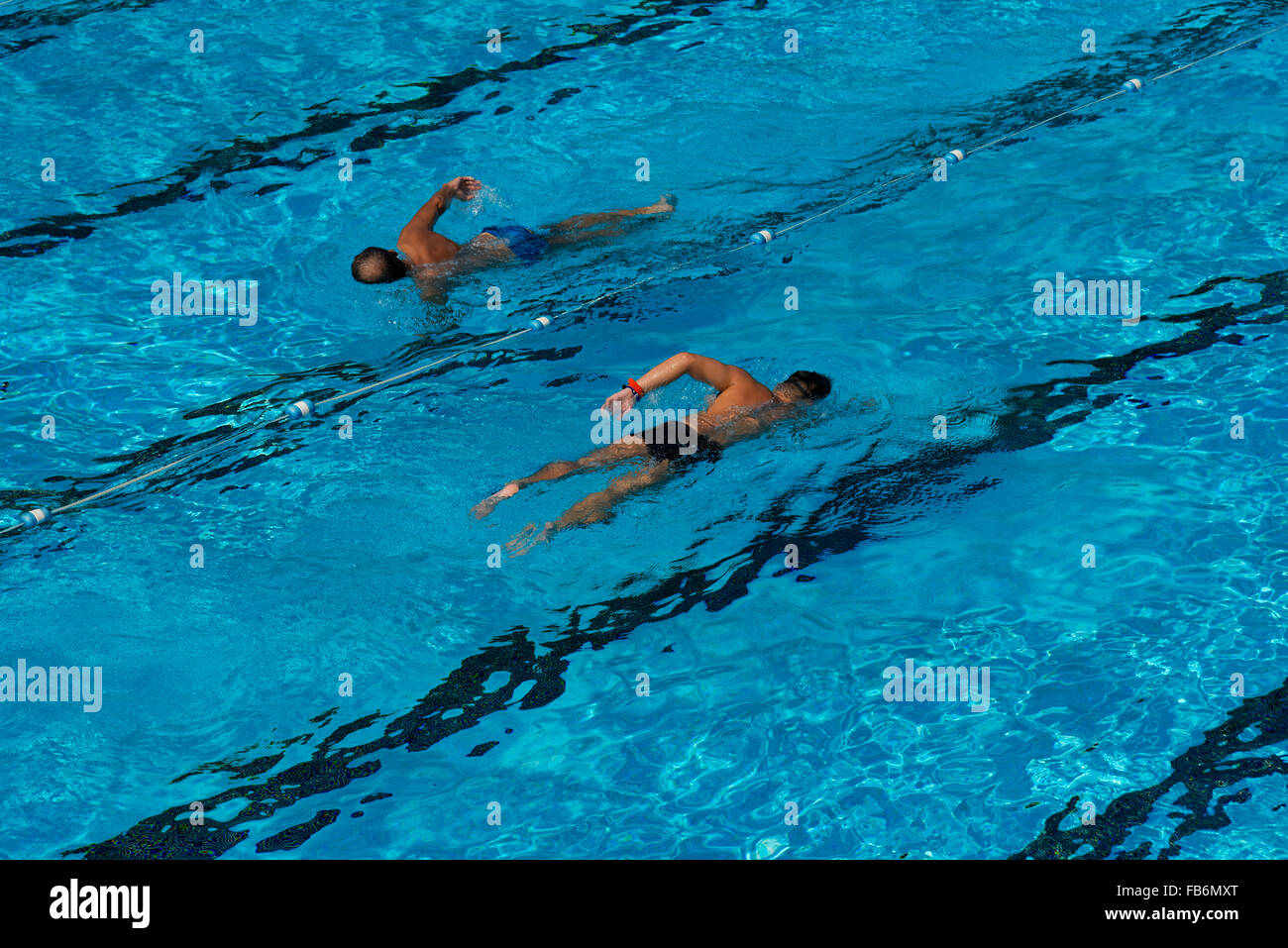 Two men swimming in the opposing sides Stock Photo - Alamy