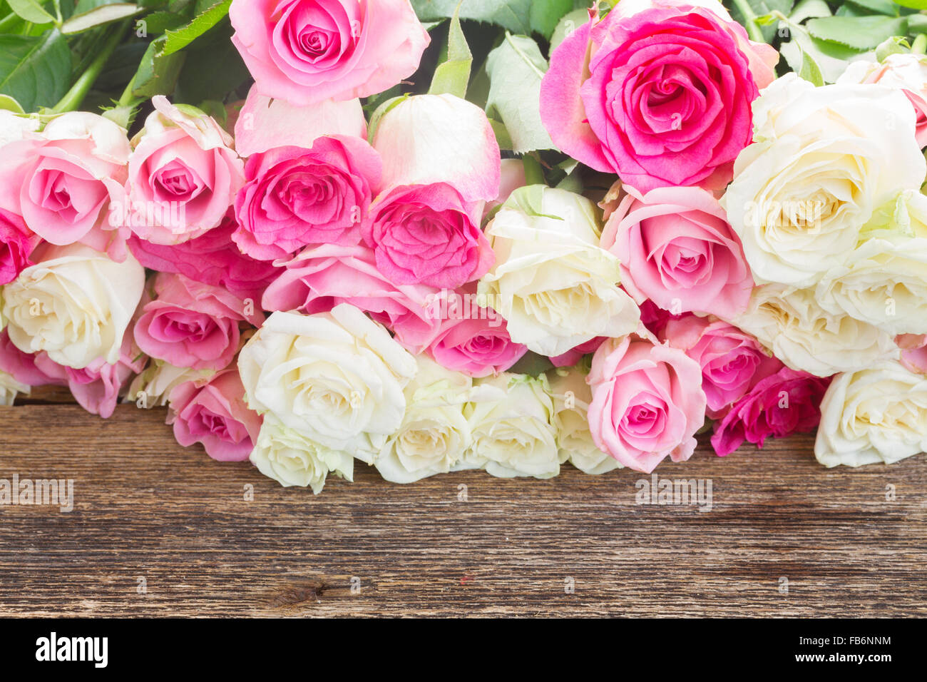 pink and white roses Stock Photo - Alamy