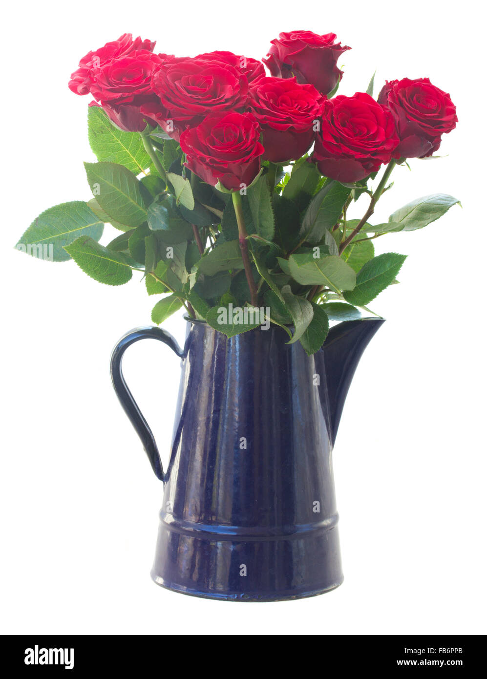 red roses in blue pot Stock Photo - Alamy