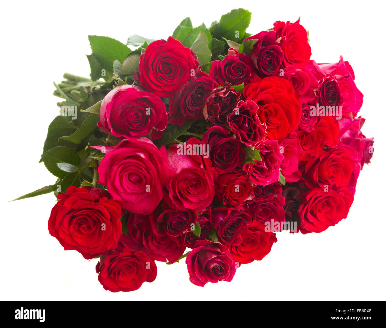 Border of red and pink roses Stock Photo - Alamy