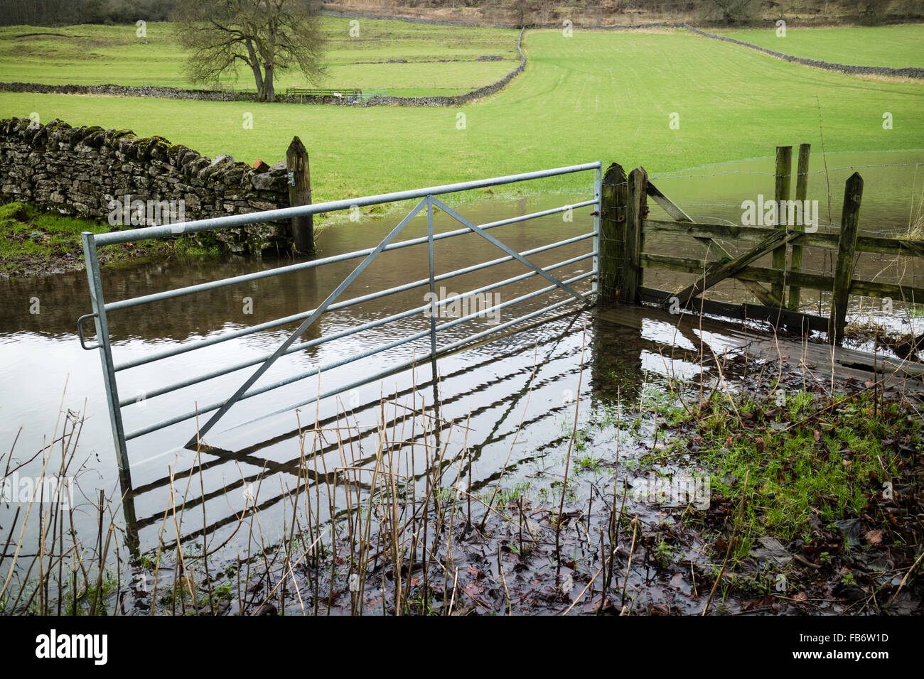 Saturated field hi-res stock photography and images - Alamy