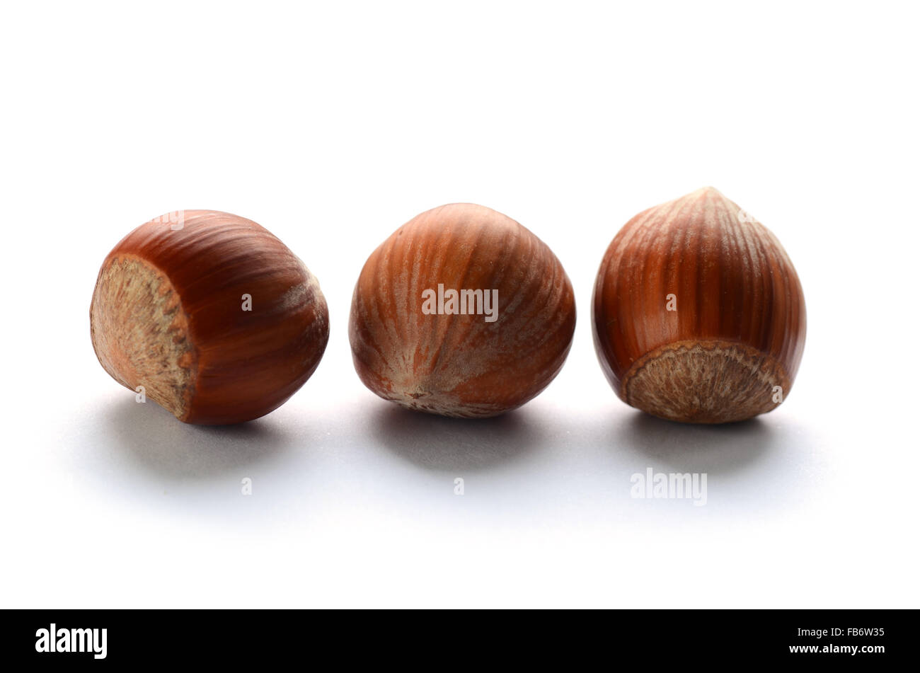 Hazelnut in shell Cut Out Stock Images & Pictures - Alamy