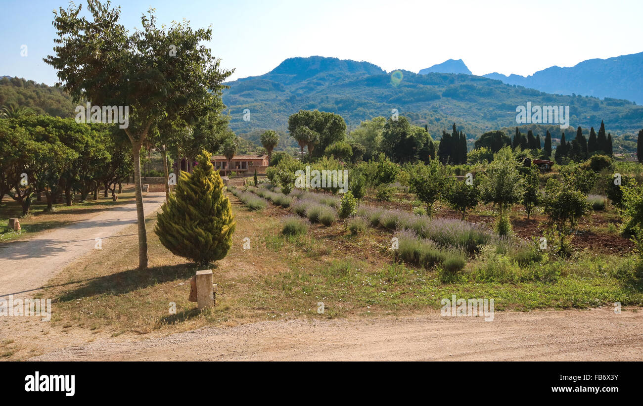 Balearic islands Mediterranean Finca, architecture of Majorca Stock ...