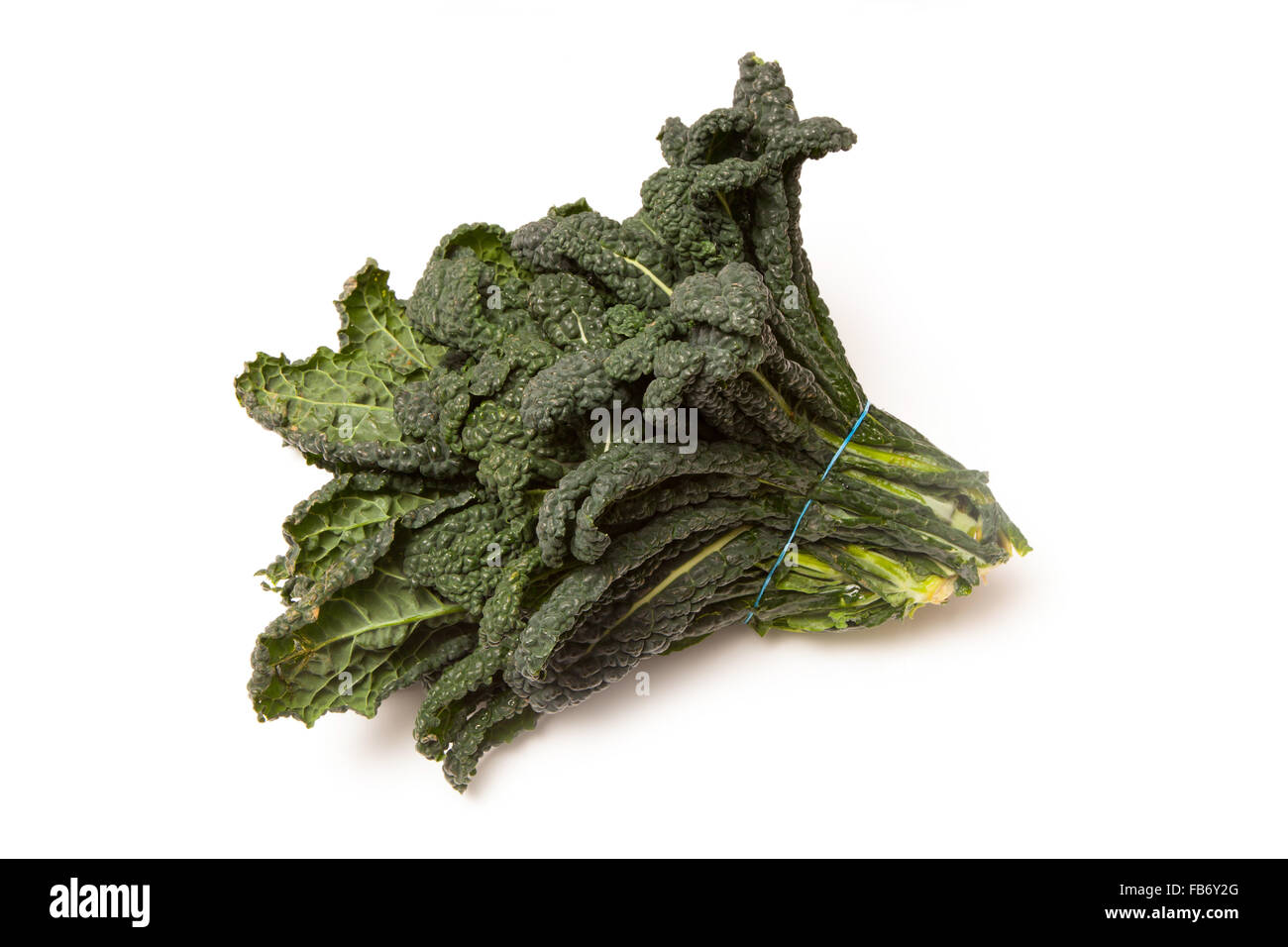 Cavolo Nero an Italian cabbage isolated on white studio background ...