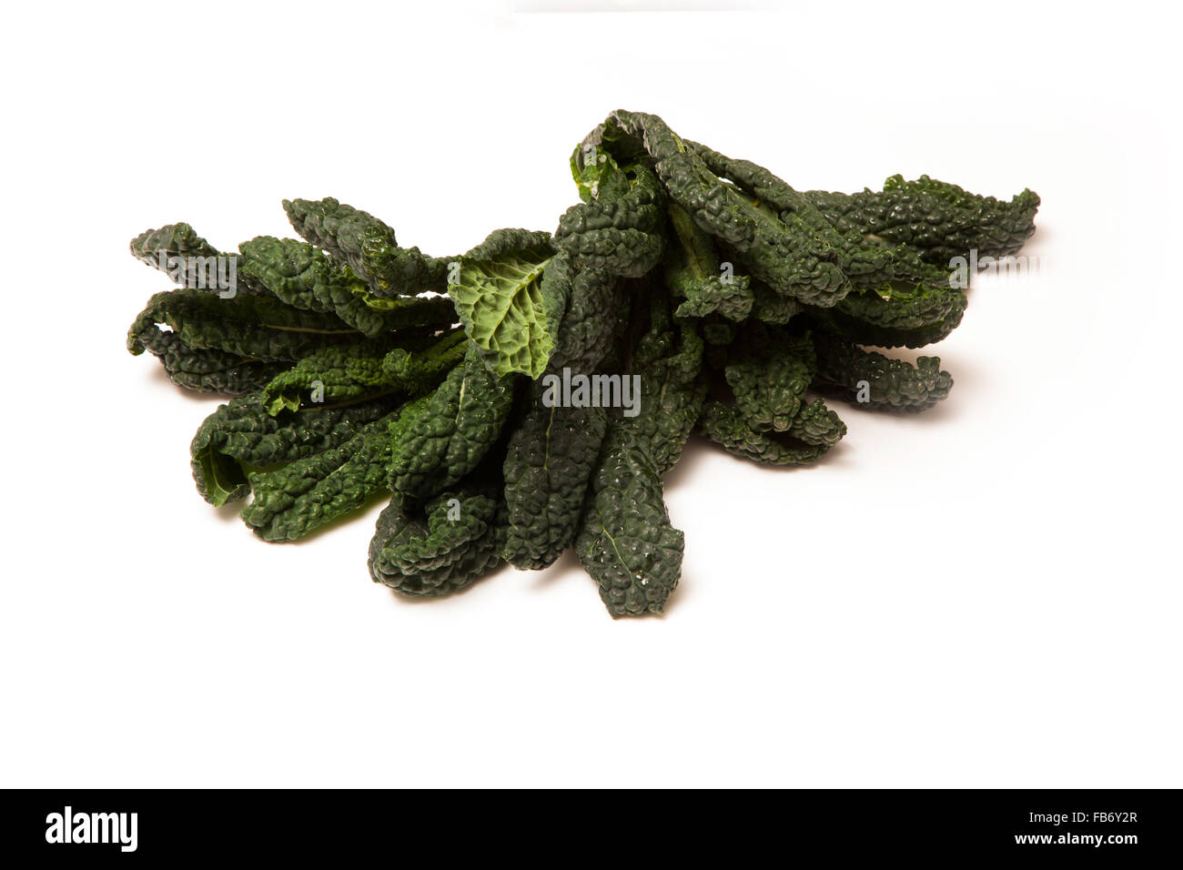 Cavolo Nero an Italian cabbage isolated on white studio background ...