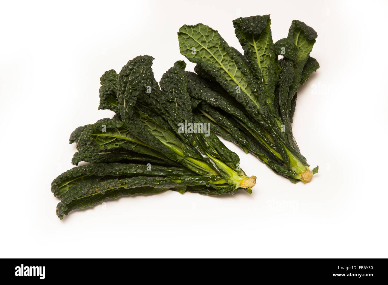 Cavolo Nero an Italian cabbage isolated on white studio background ...