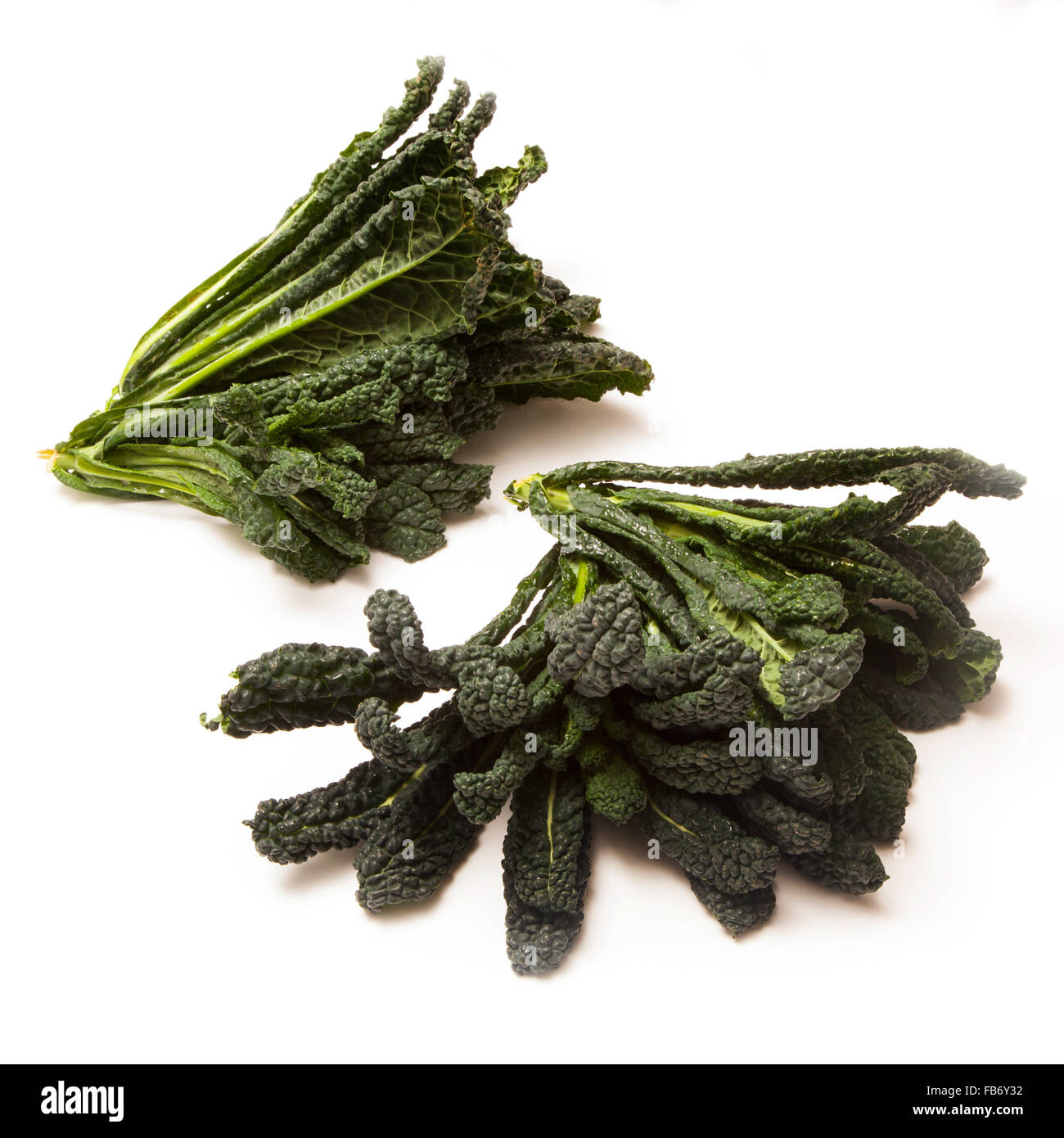 Cavolo Nero an Italian cabbage isolated on white studio background ...
