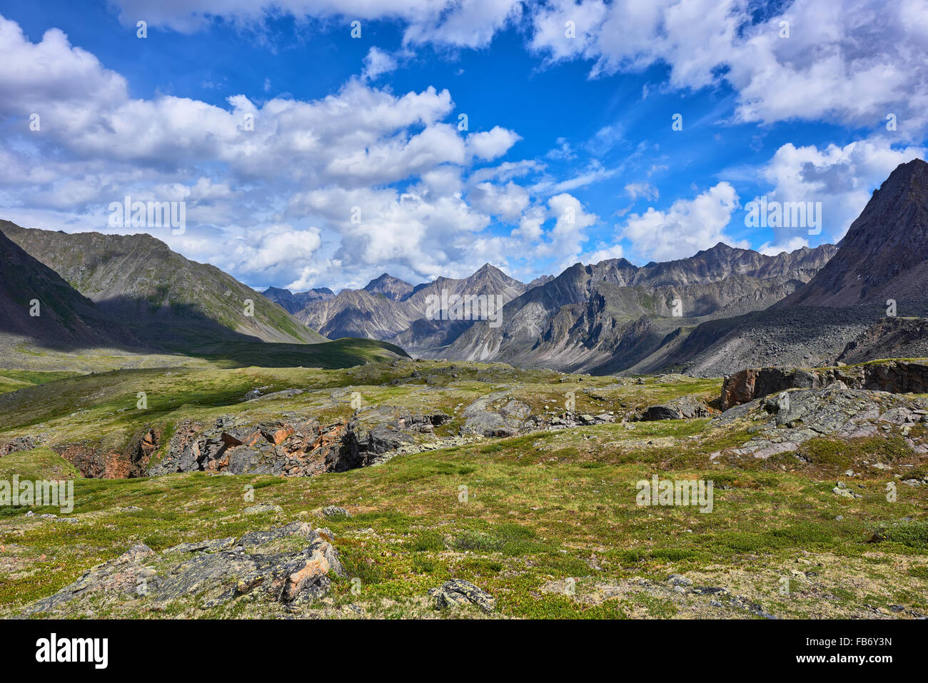 Summer tundra siberia hi-res stock photography and images - Alamy