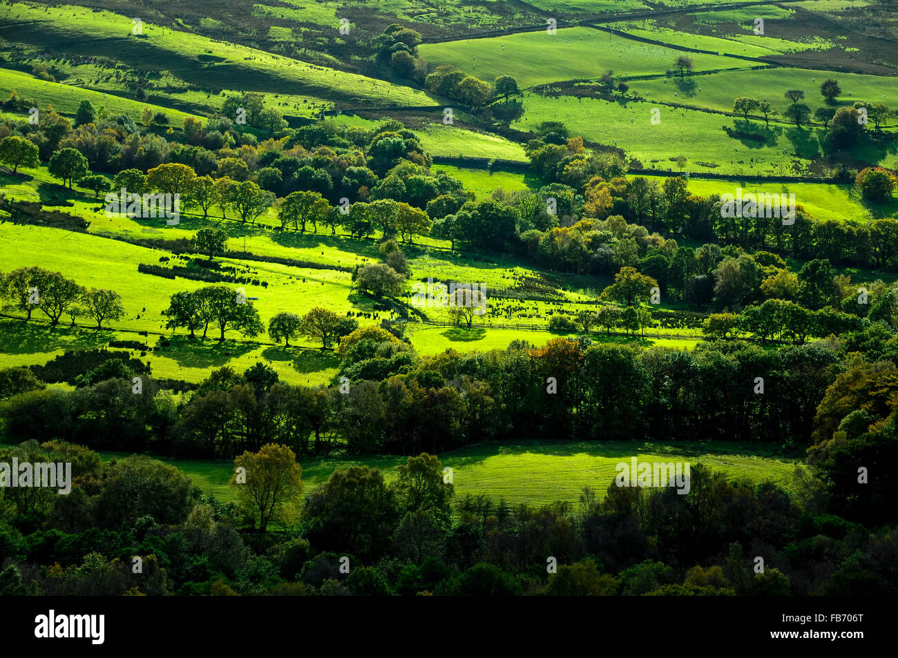 Autumn colours in the English countryside in North Derbyshire. View ...