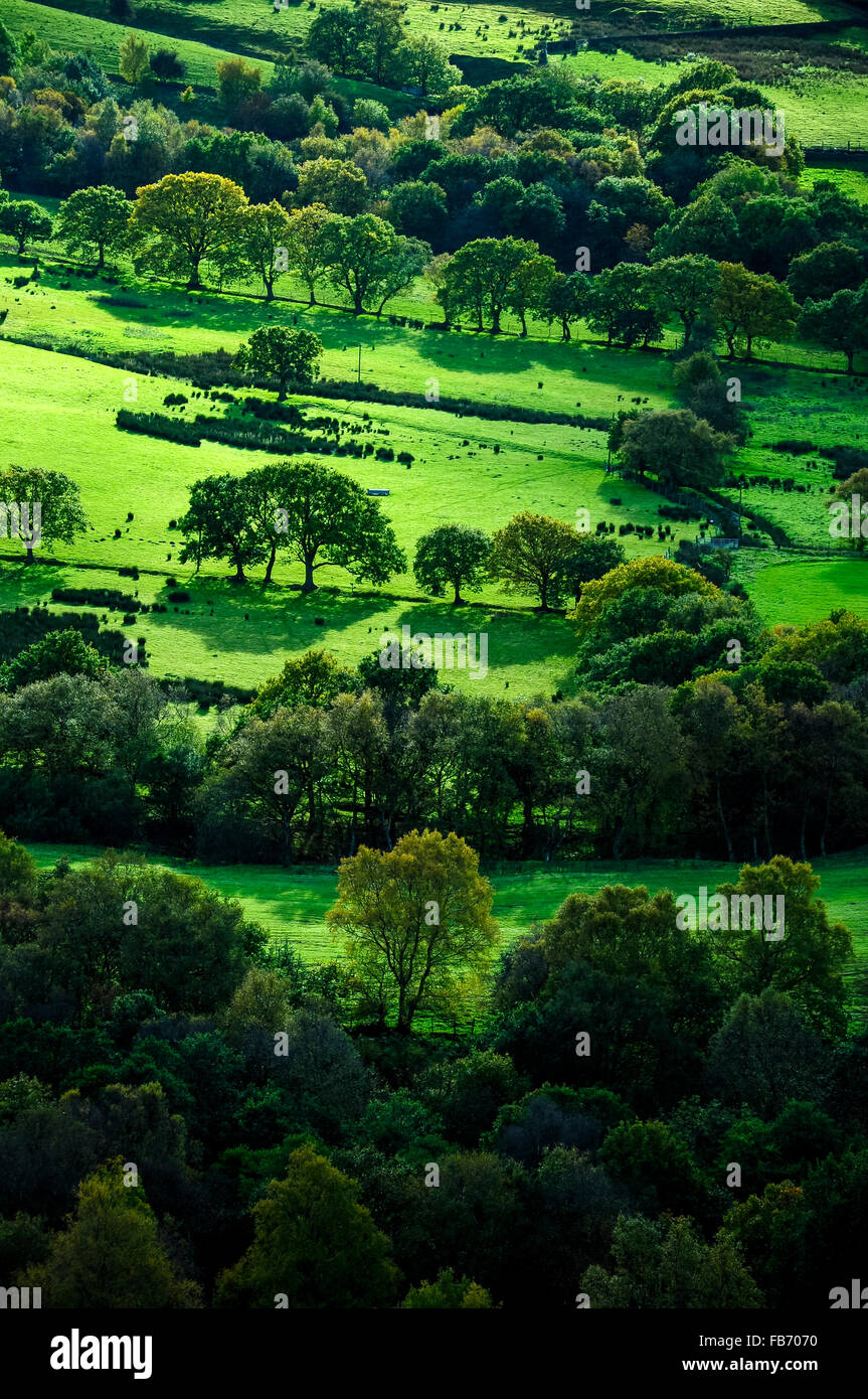Autumn colours in the English countryside in North Derbyshire. View ...