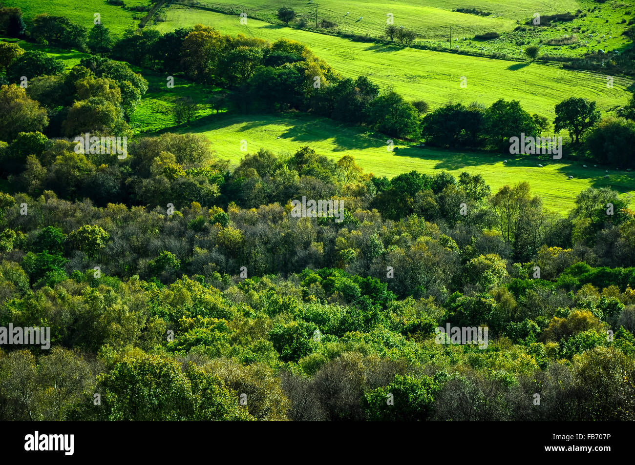Rich green colours in the English countryside in autumn Stock Photo - Alamy