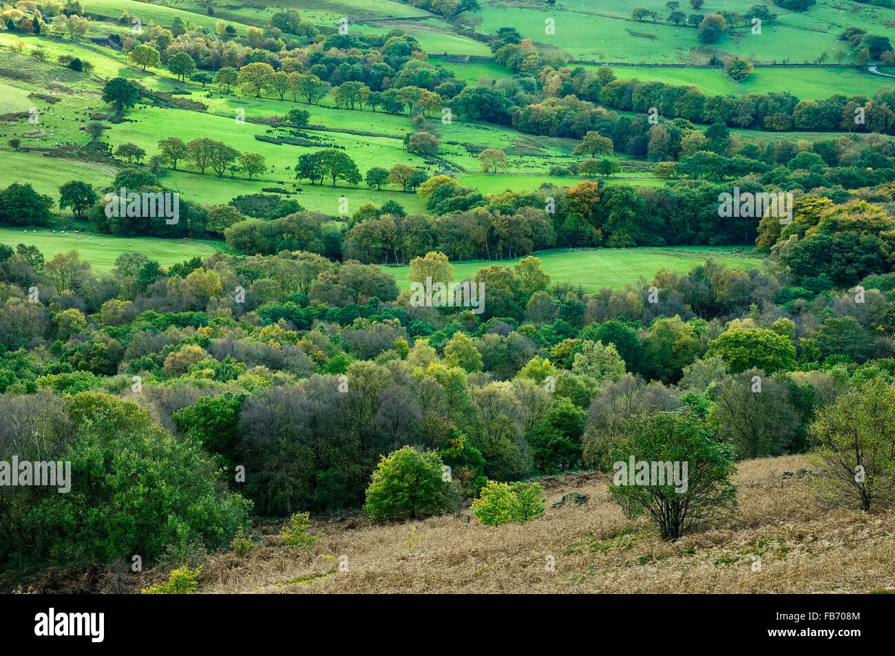 English countryside in autumn with colours changing in the trees. Taken ...