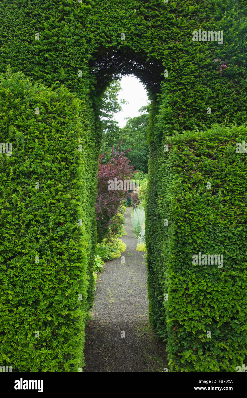 Yew hedge with arch hi-res stock photography and images - Alamy
