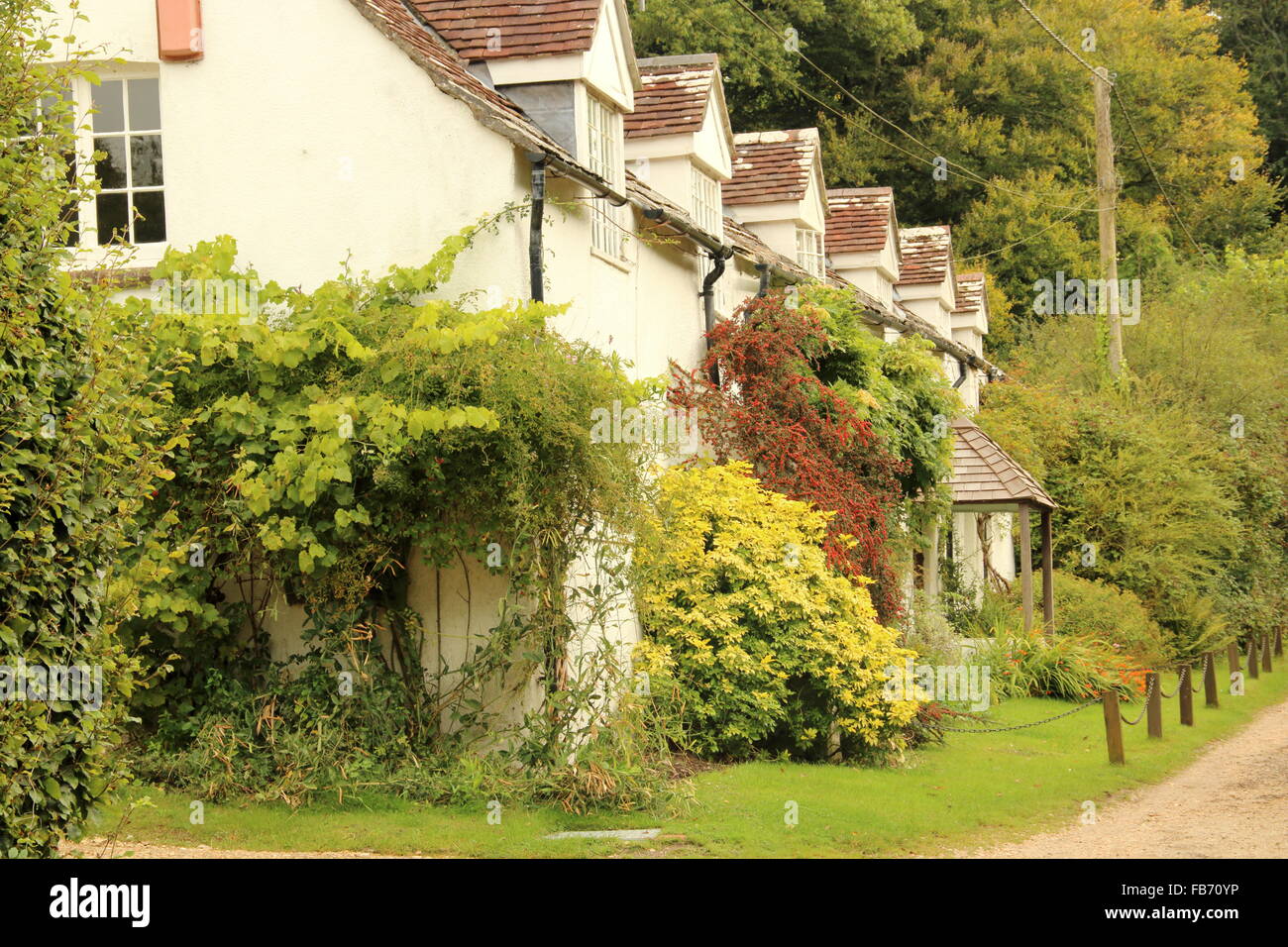 Higher bockhampton hi-res stock photography and images - Alamy