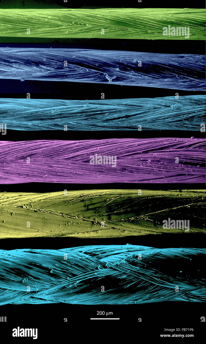 Fishing lines, different colors, diameters, and structures. Scanning ...