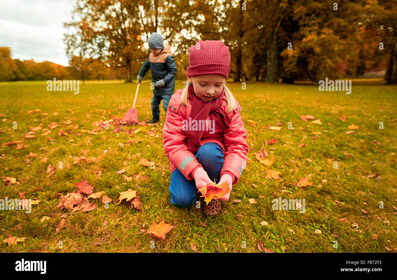 Collecting leaves hi-res stock photography and images - Alamy
