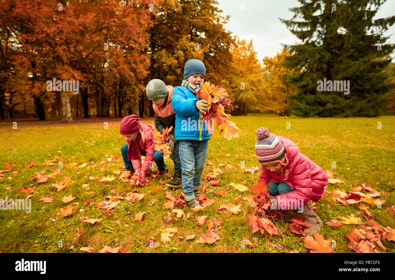 Collecting leaves hi-res stock photography and images - Alamy