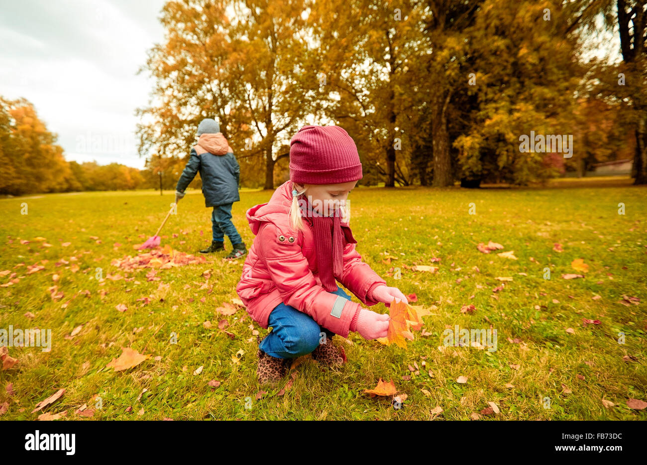 Collecting leaves hi-res stock photography and images - Alamy