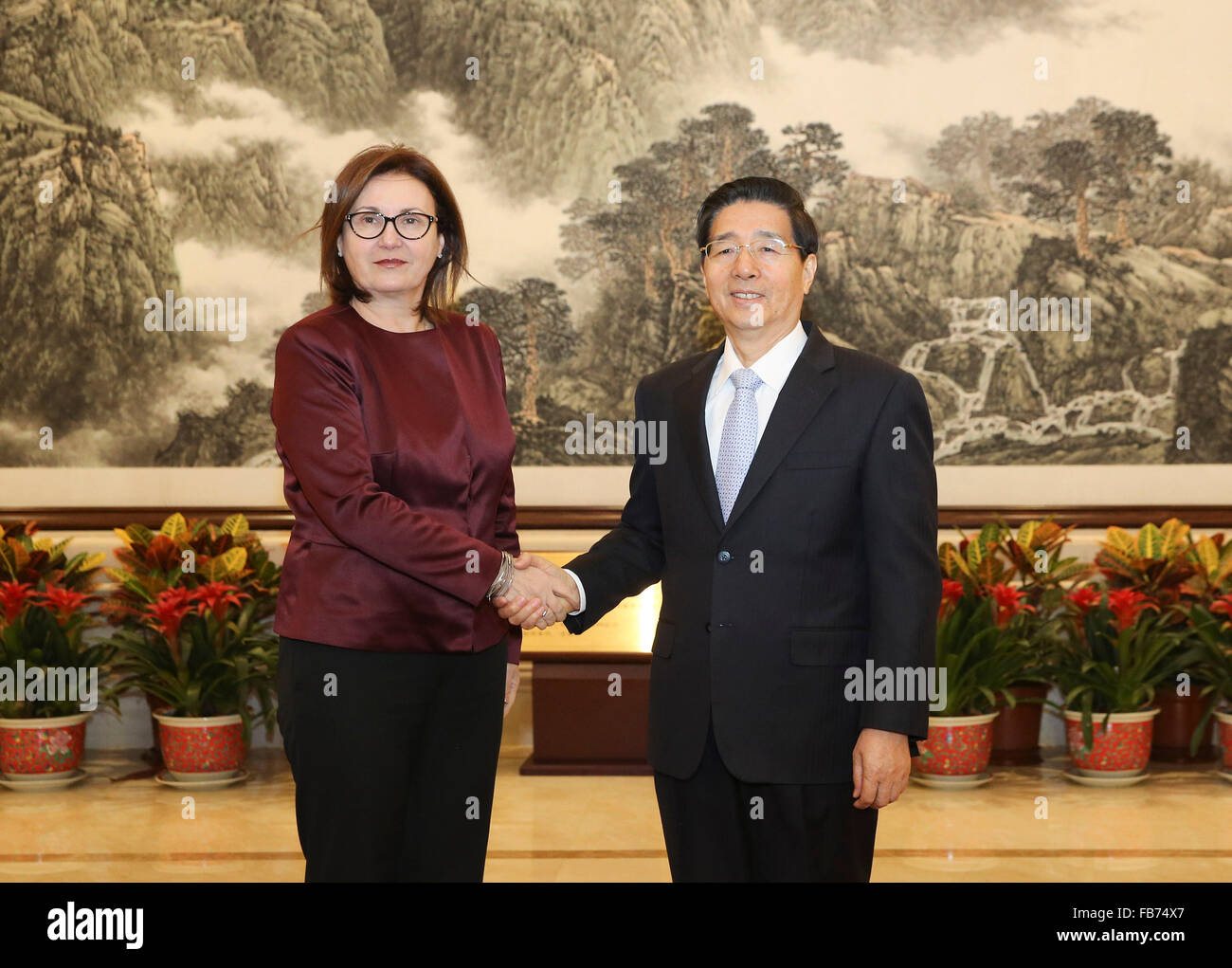 Beijing, China. 11th Jan, 2016. China's State Councilor and Minister of ...