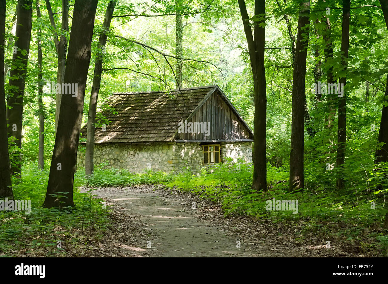 Forest hut with benches Stock Photo - Alamy