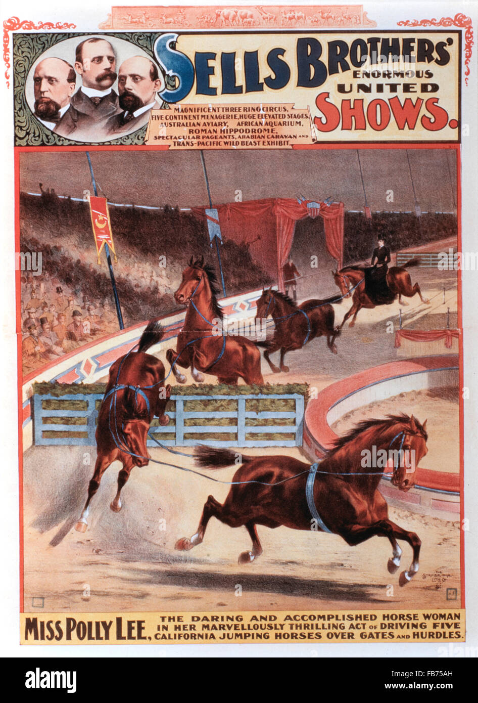 Circus rider hi-res stock photography and images - Alamy