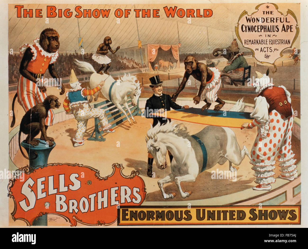 Sells Brothers' Enormous United Shows, The Wonderful Cynocepalus Ape ...