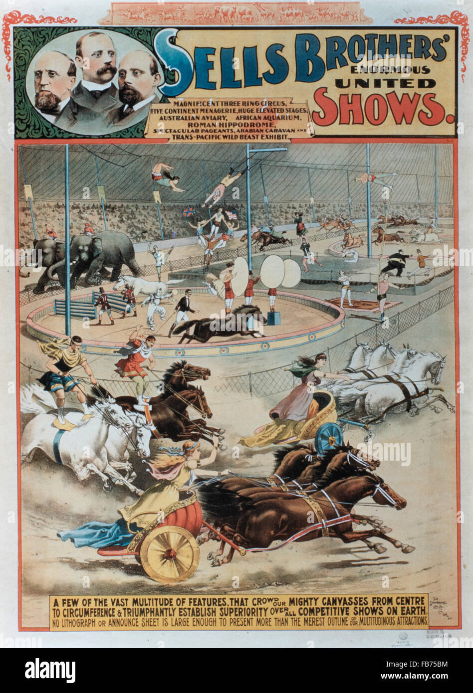 Roman chariot race hi-res stock photography and images - Alamy