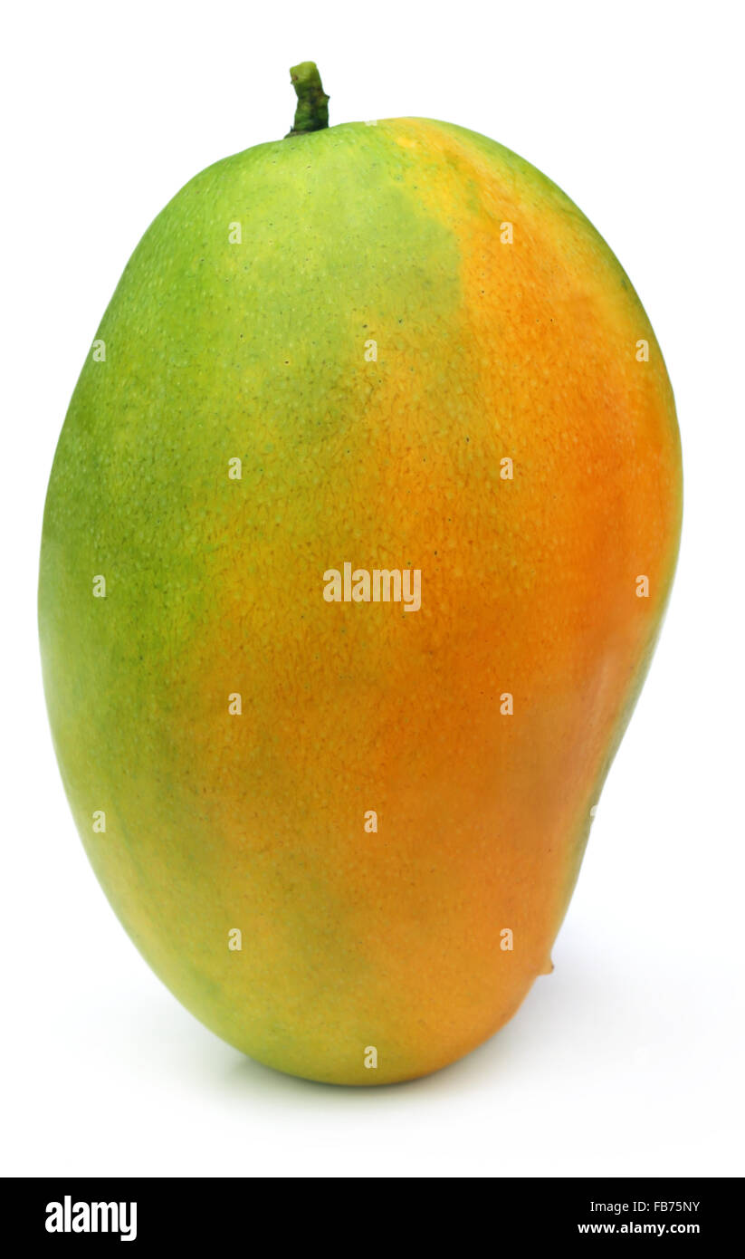 Over Ripe Mango