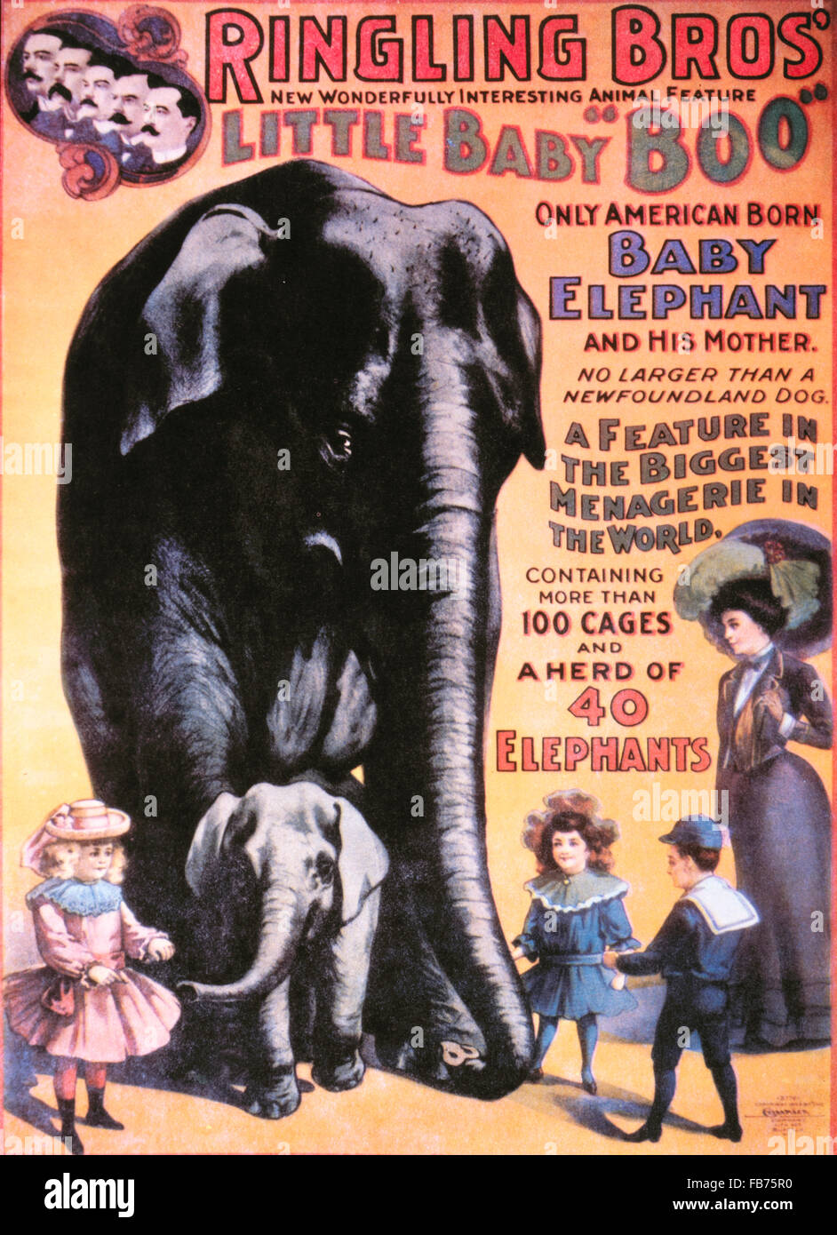 Ringling Bros. Little Baby "Boo" Elephant, Circus Poster, circa 1903 ...