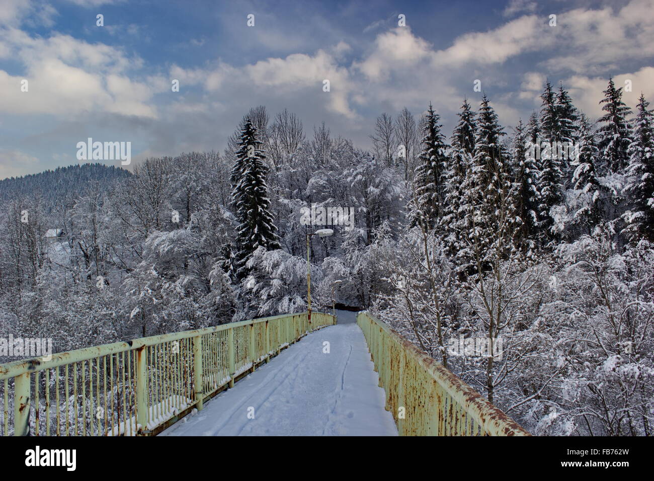 bridge to the winter forest Stock Photo - Alamy