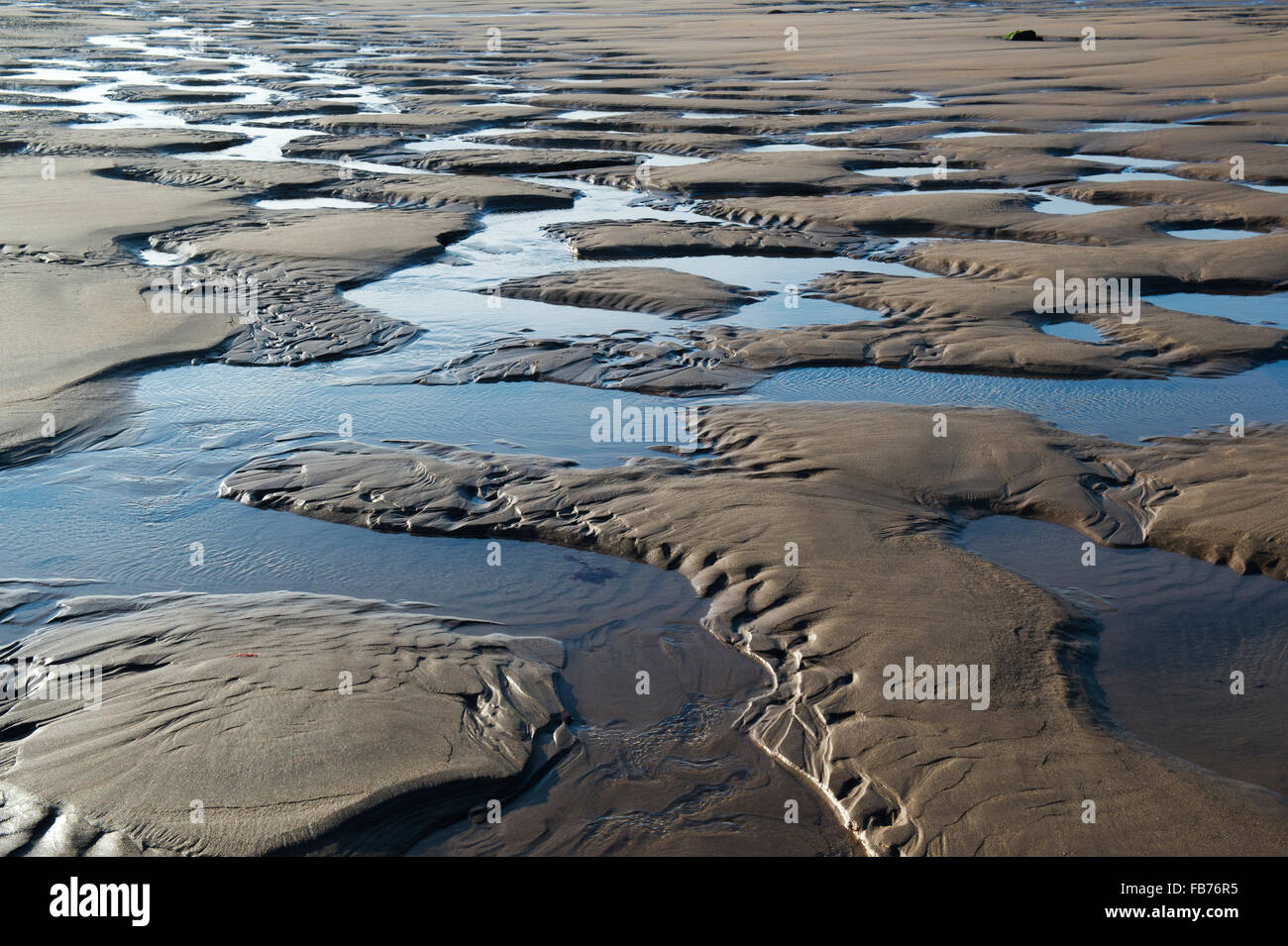 Rippled sand and sea water on a beach at low tide. Northumberland ...