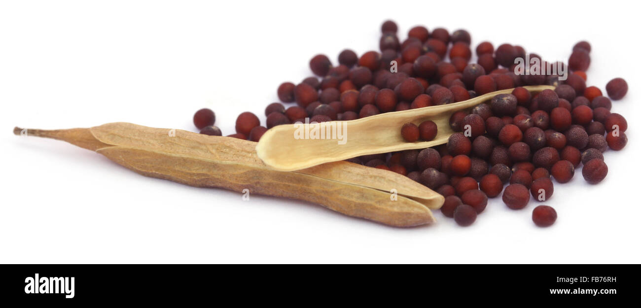 Mustard texture hi-res stock photography and images - Alamy