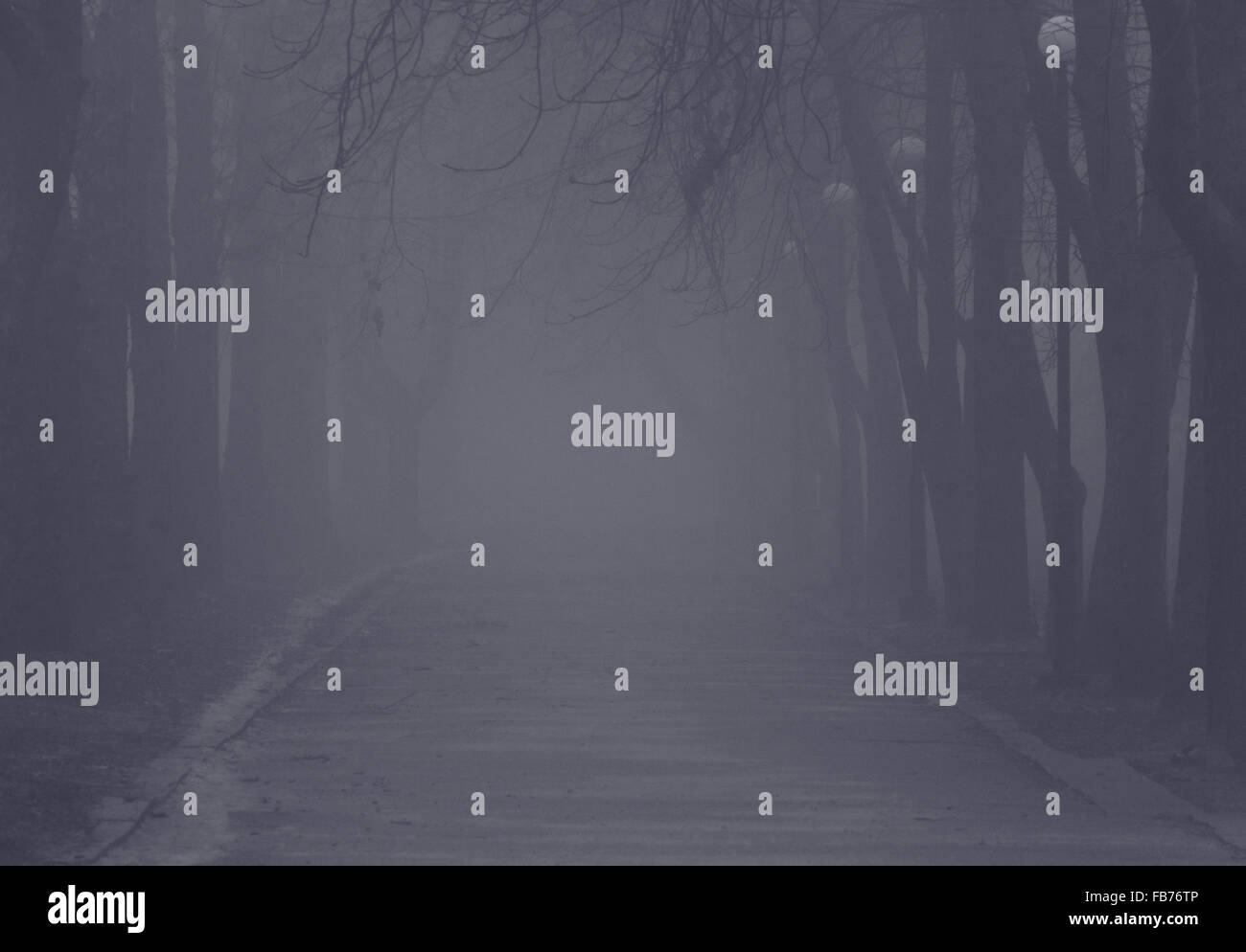 path in park at foggy weather Stock Photo - Alamy