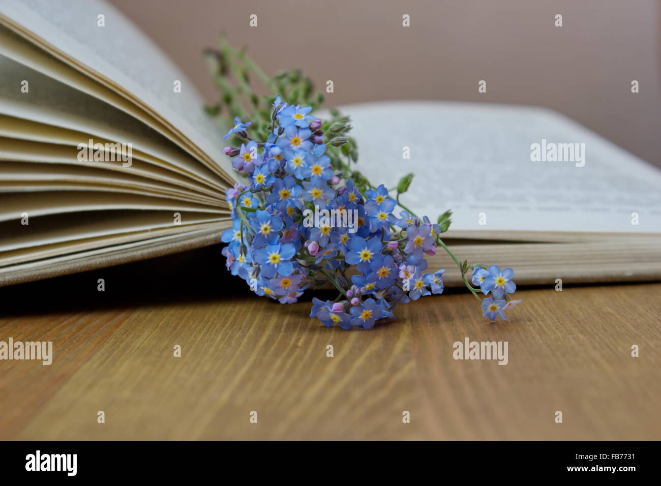 open book with forget me nots Stock Photo - Alamy