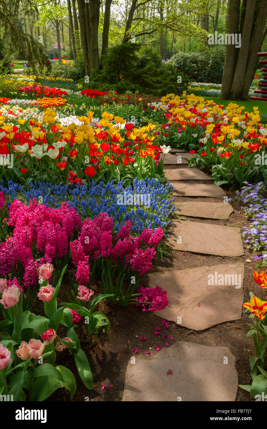 Stone path winding in a garden Stock Photo - Alamy