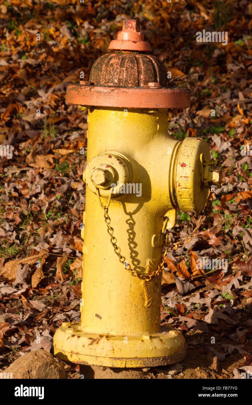 Class c fire hydrant hi-res stock photography and images - Alamy