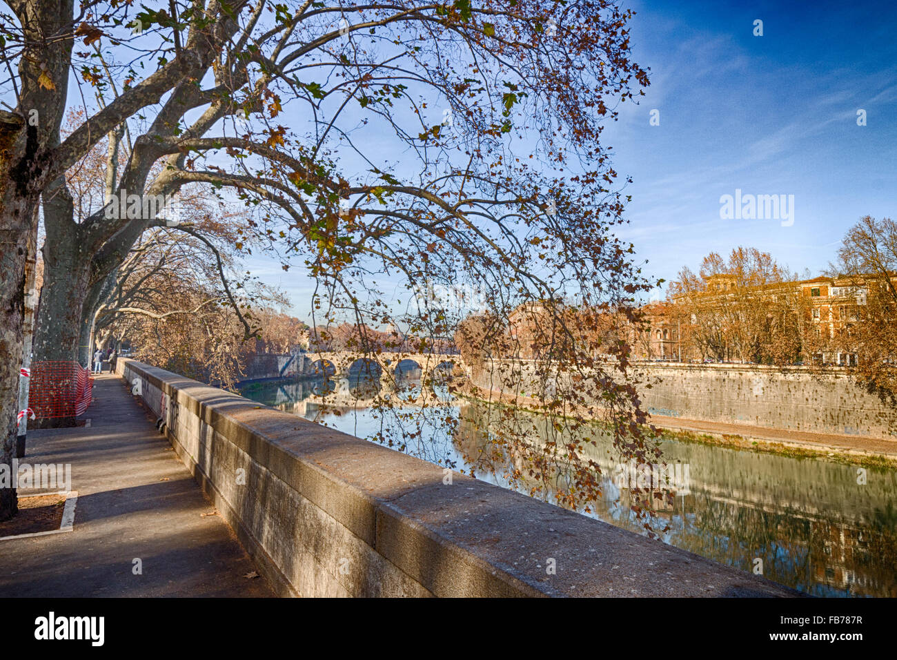 view of the river Tiber, trees, ancient palaces, monuments of ancient ...