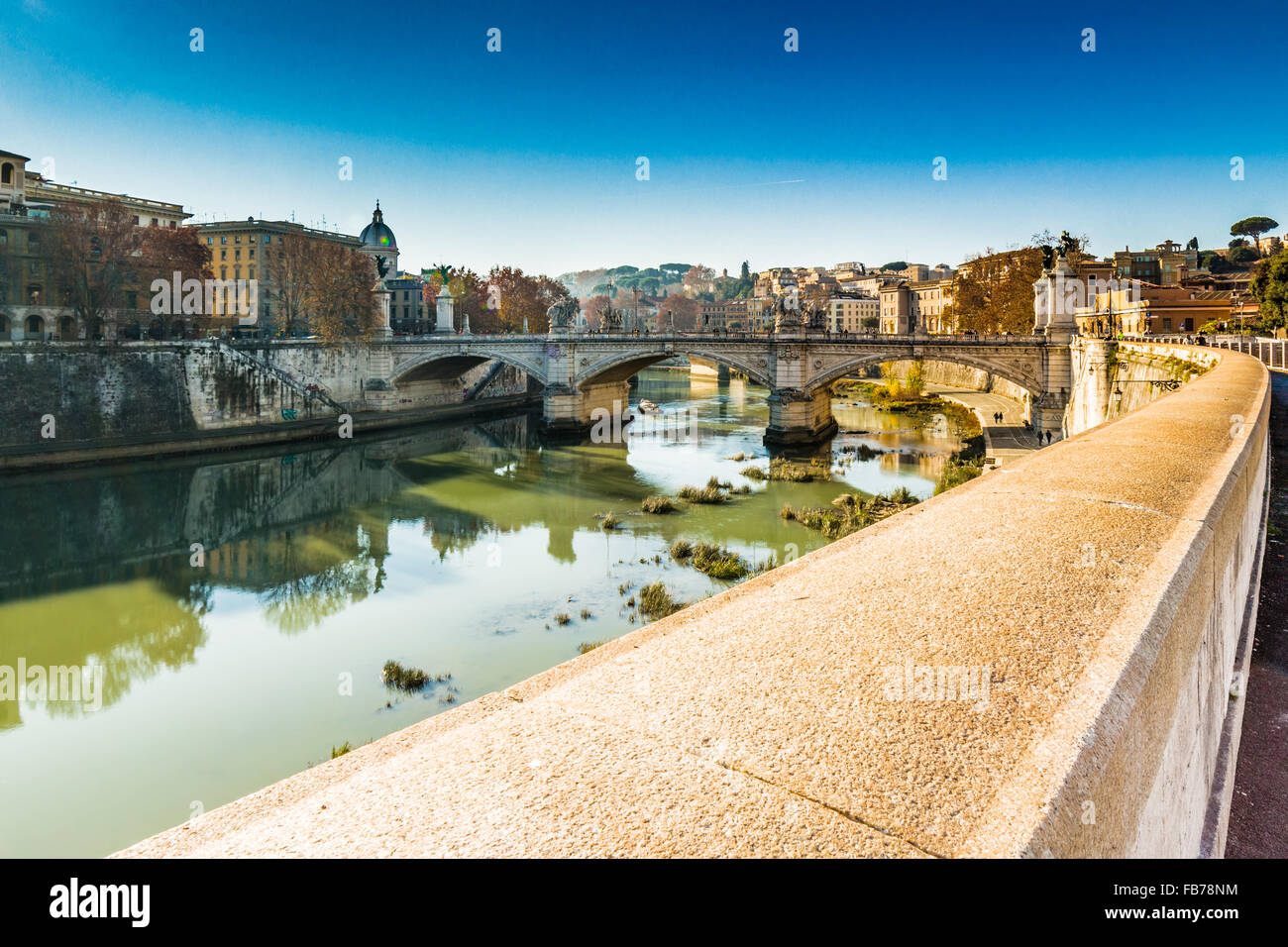 view of the river Tiber, trees, ancient palaces, monuments of ancient ...