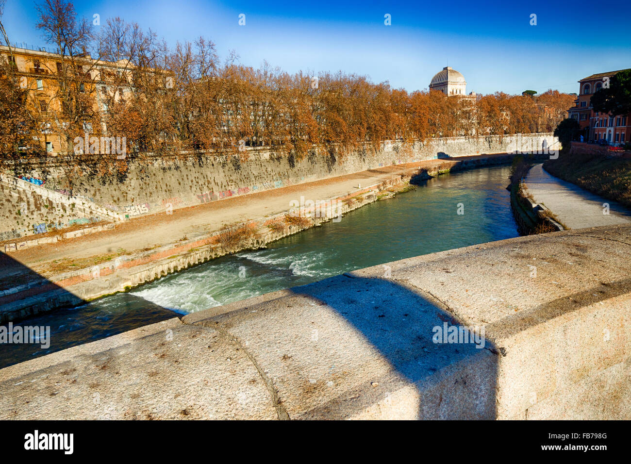 view of the river Tiber, trees, ancient palaces, monuments of ancient ...