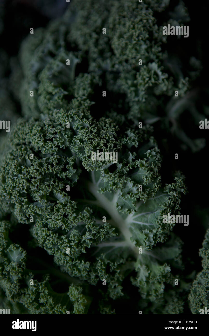Kale image hi-res stock photography and images - Alamy