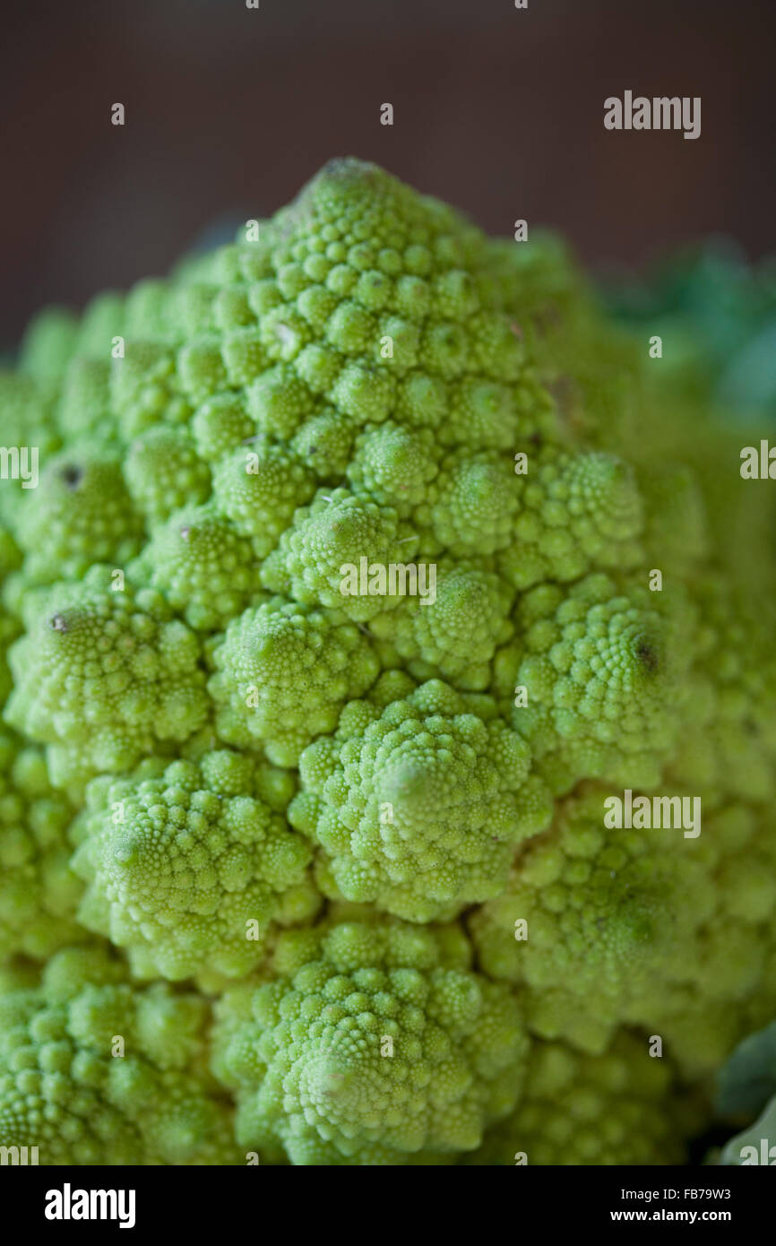 Close-up of Romanesco cauliflower Stock Photo - Alamy