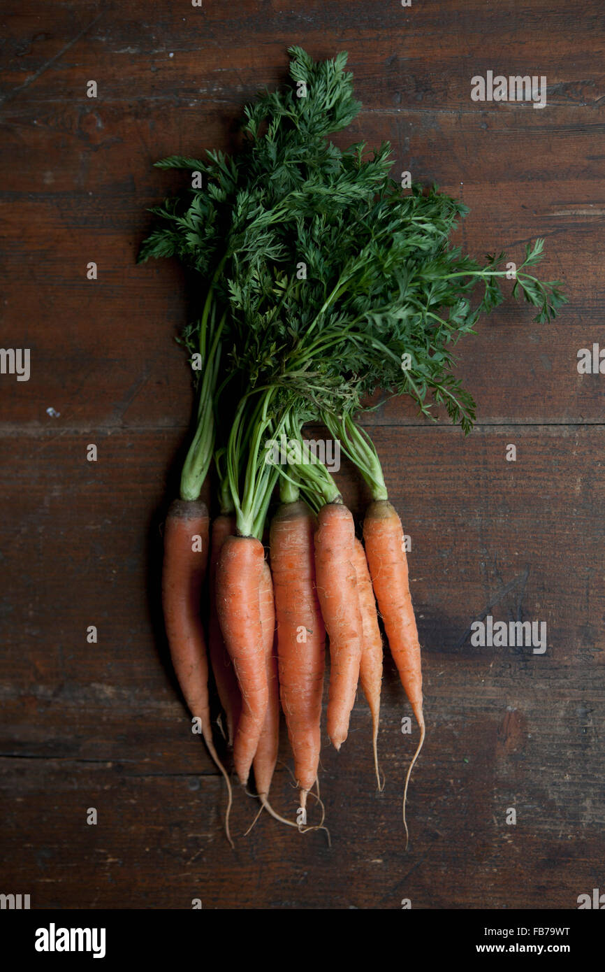 Above carrots hi-res stock photography and images - Alamy