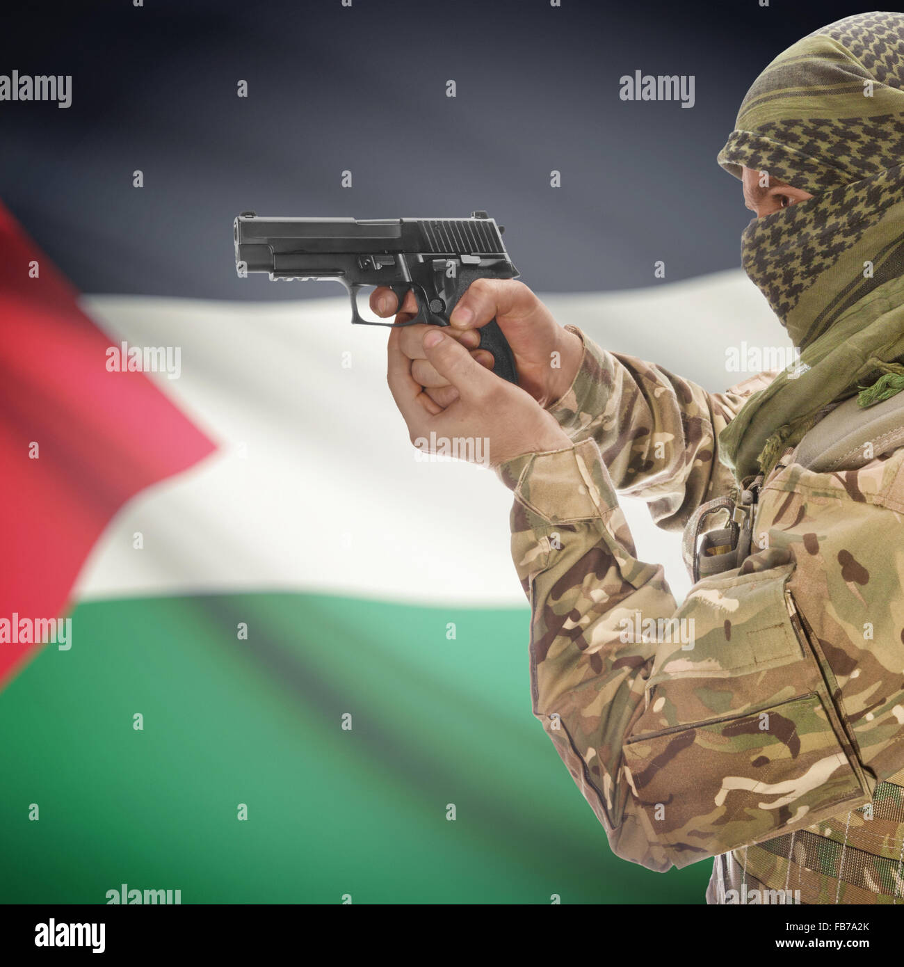 Man with gun in hand and national flag on background series - Palestine ...
