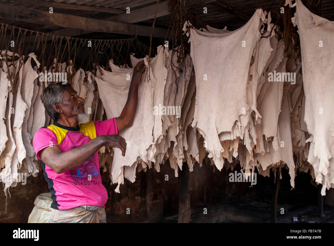 Dhaka, Bangladesh. 11th January, 2016. A worker washing leather using ...