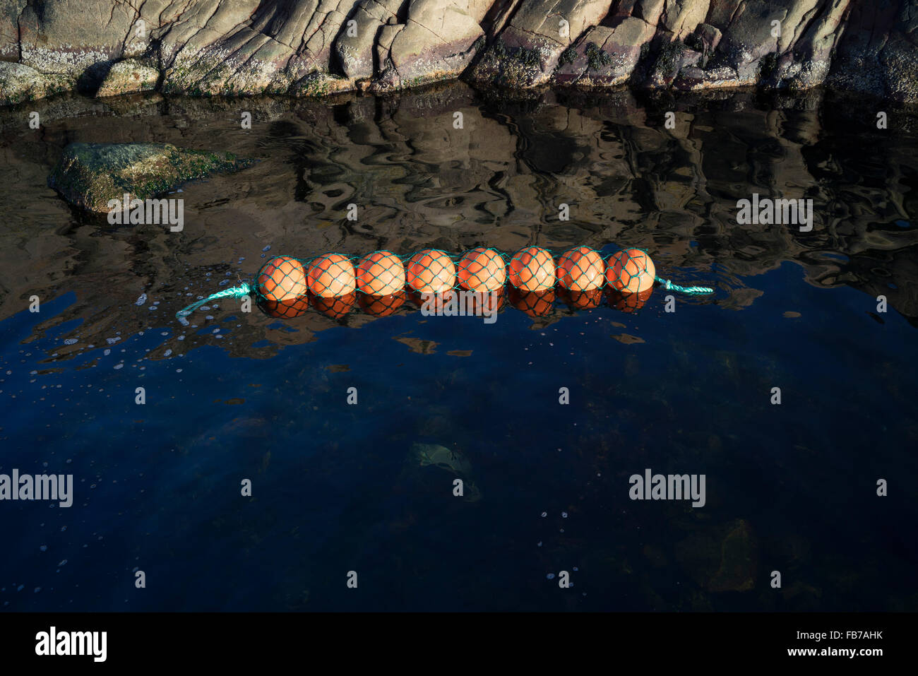 High angle view of orange buoy floating on water Stock Photo - Alamy