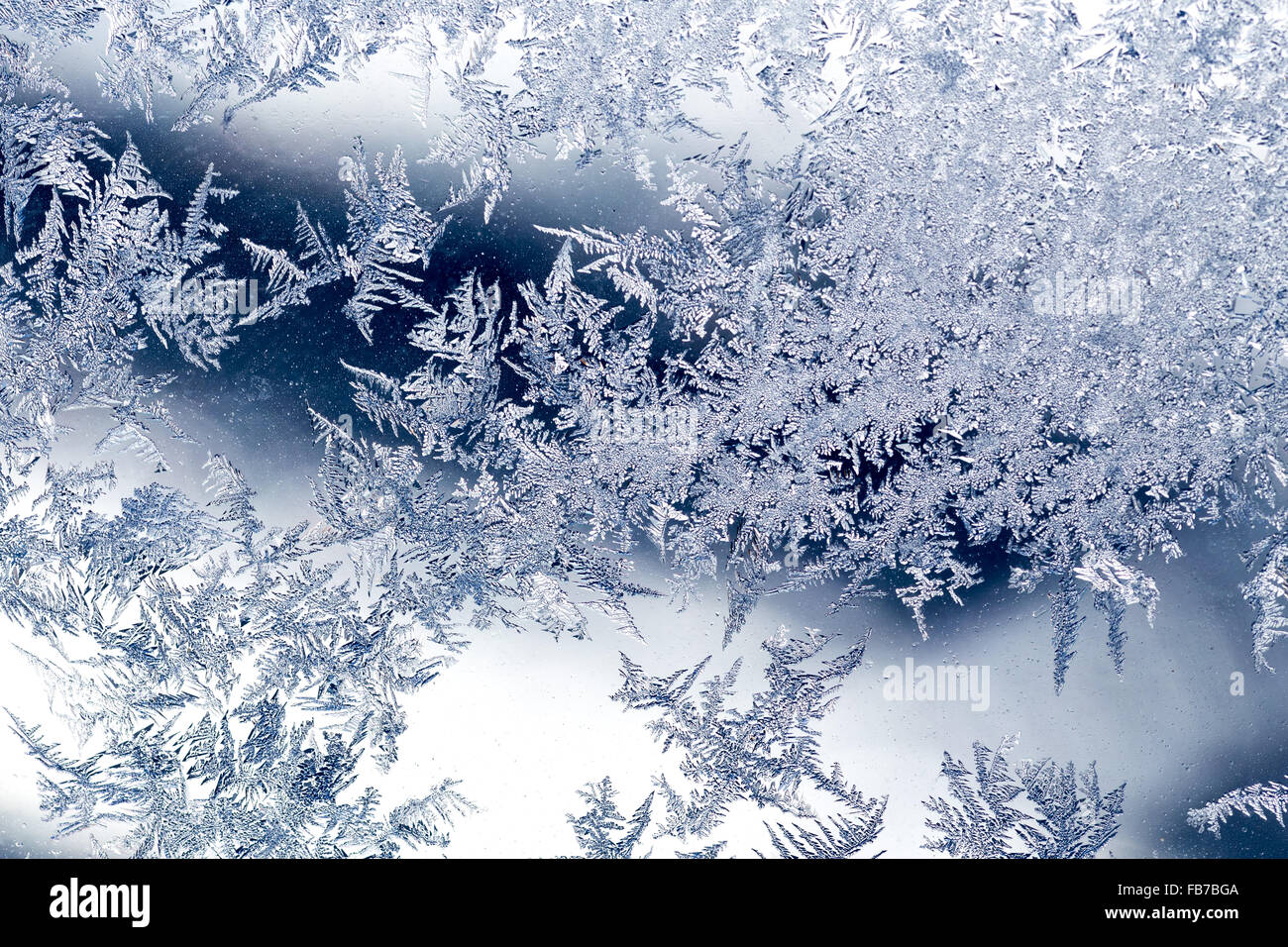 Frost winter patterns Stock Photo - Alamy