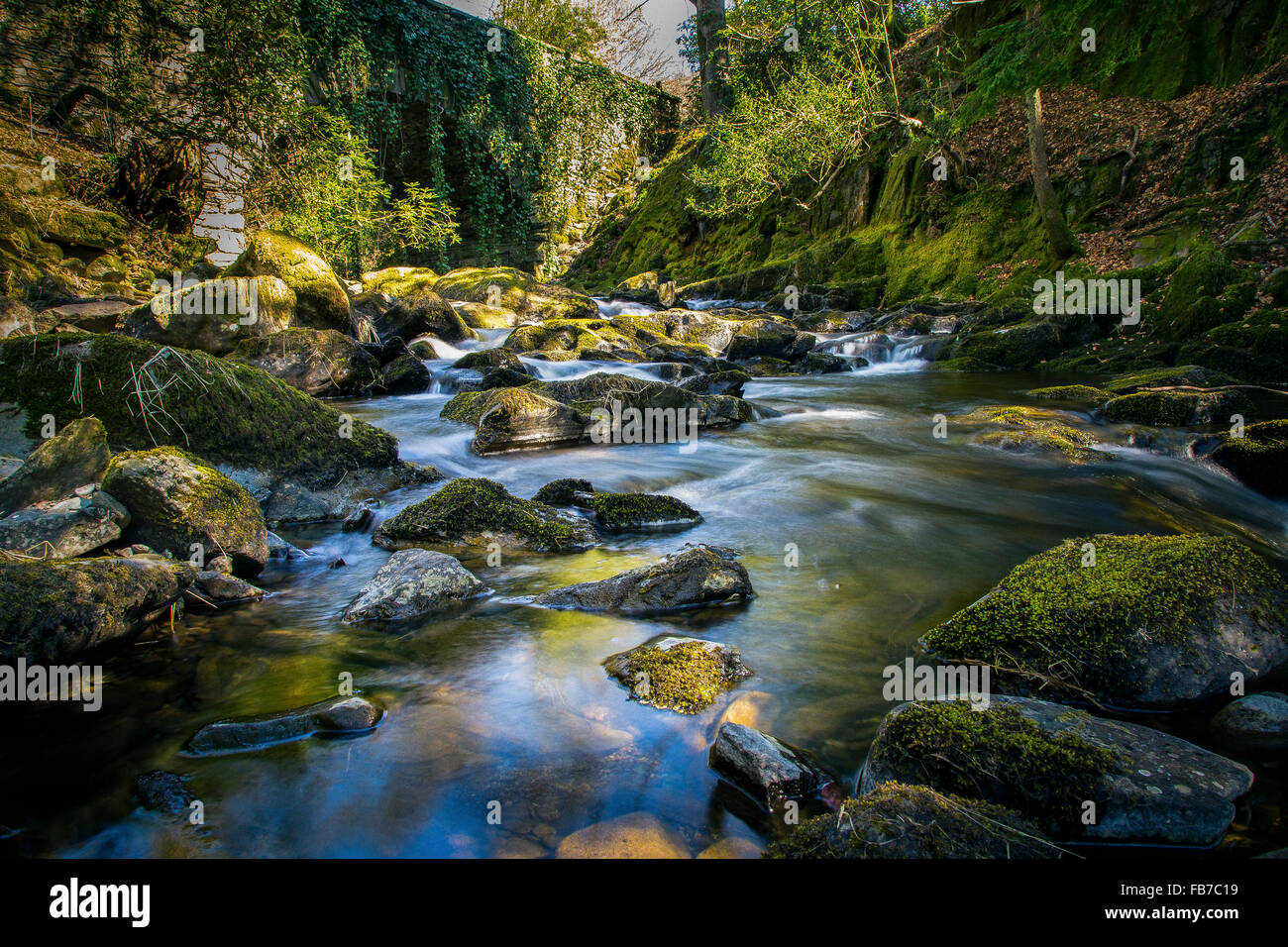 River flowing through mossy rocks Stock Photo - Alamy