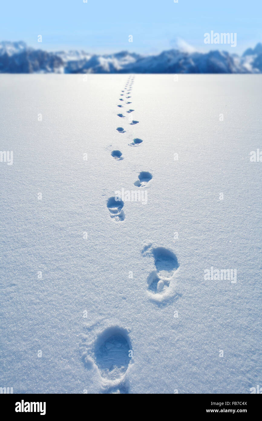 Footprints in snow Stock Photo - Alamy