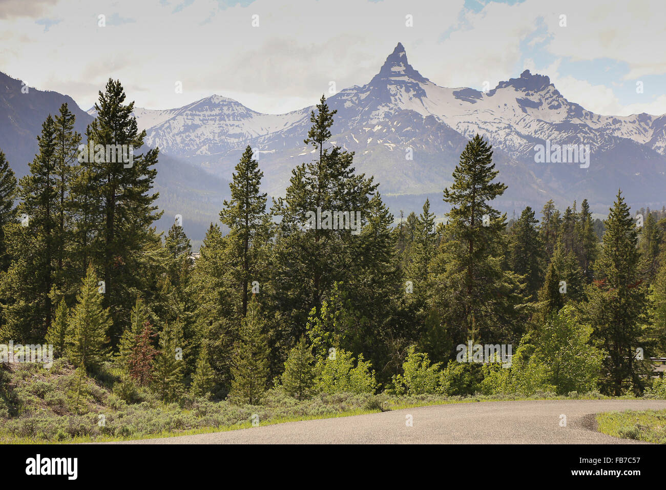Mountain range growing trees hi-res stock photography and images - Alamy
