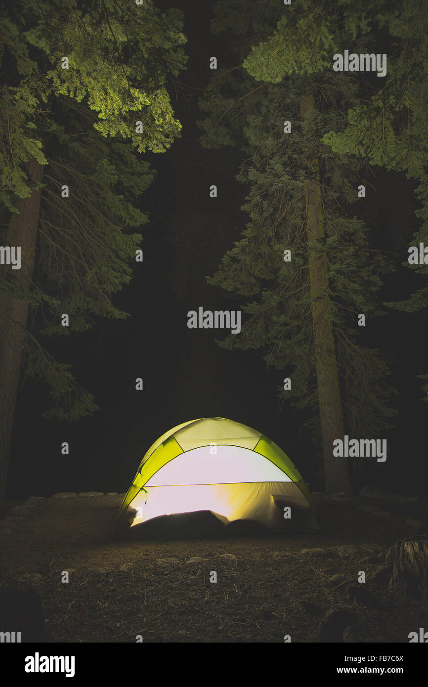 Tent at night in california forest hi-res stock photography and images ...